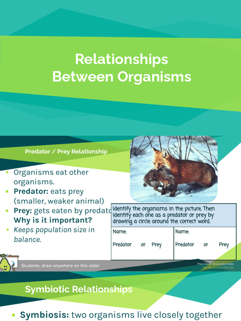 Copy of _Symbiosis_ Relationships Between Organisms Pear Deck Notes ...