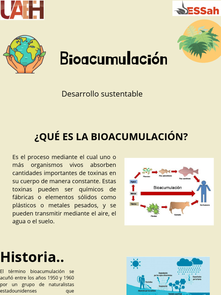 Bioacumulación | PDF | Entorno natural | Ciencia medioambiental