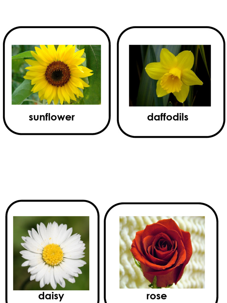 Flowering Plants | PDF