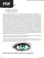 BPI Lens Tints and Color Options | PDF | Sunglasses | Light
