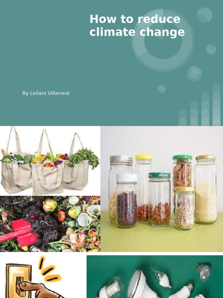 How To Reduce Climate Change | PDF