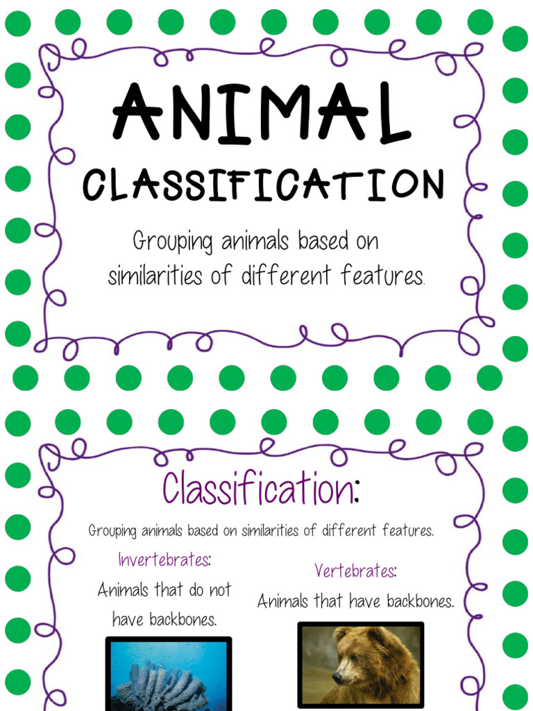 Classification of Animals Graphic Organizers | PDF | Invertebrate
