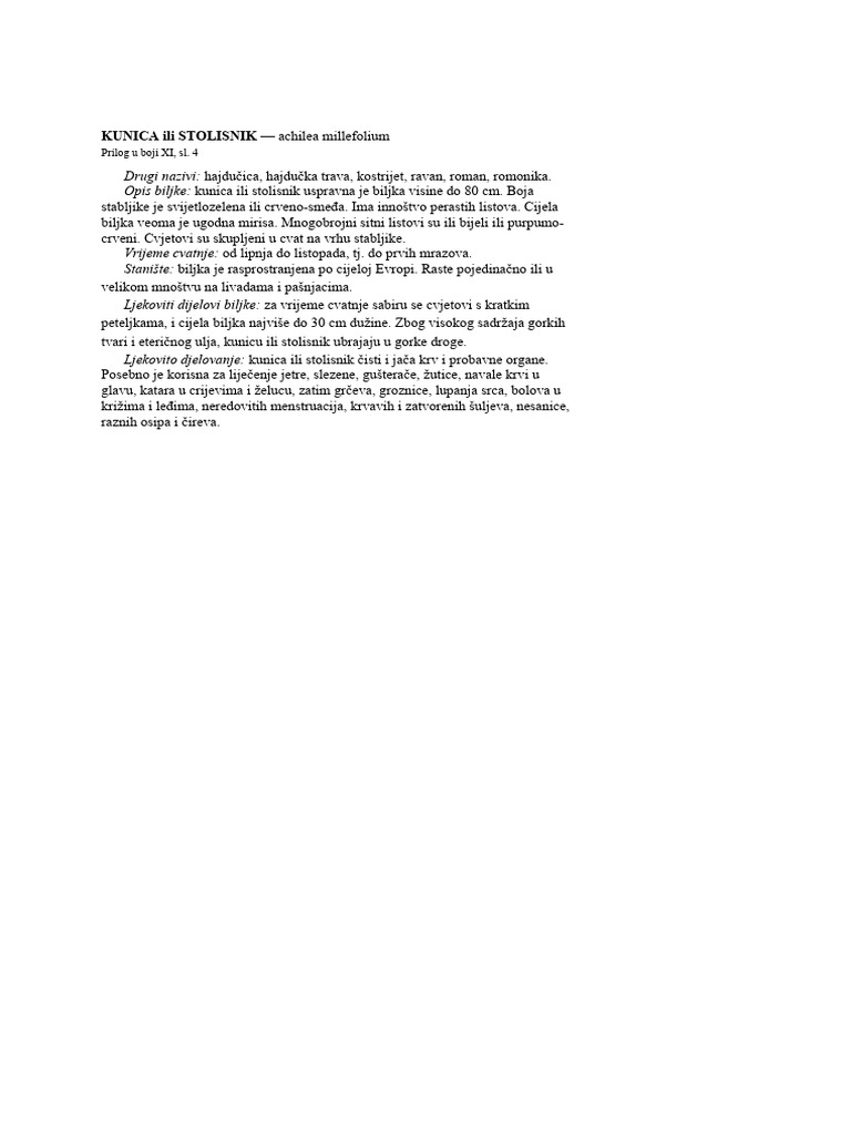 Kunica Ili Stolisnik | PDF