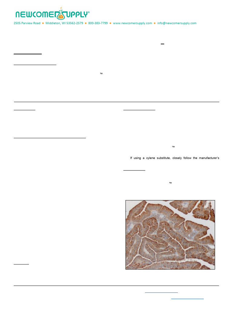 Carcinoembryonic Antigen (CEA) .3160 | PDF | Staining