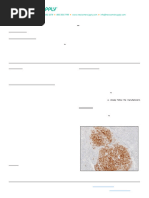 Ihc Ventana Protocol | PDF