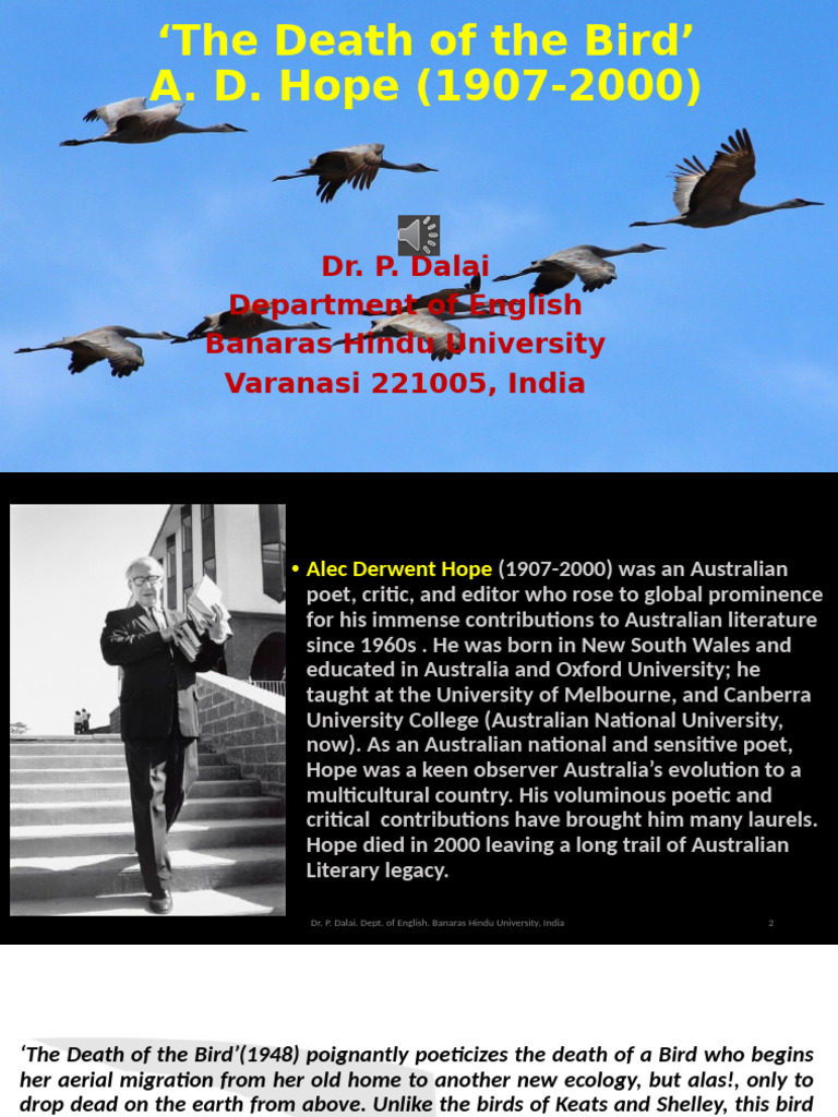 Analysis of A.D. Hope's "The Death of the Bird" | PDF | Poetry