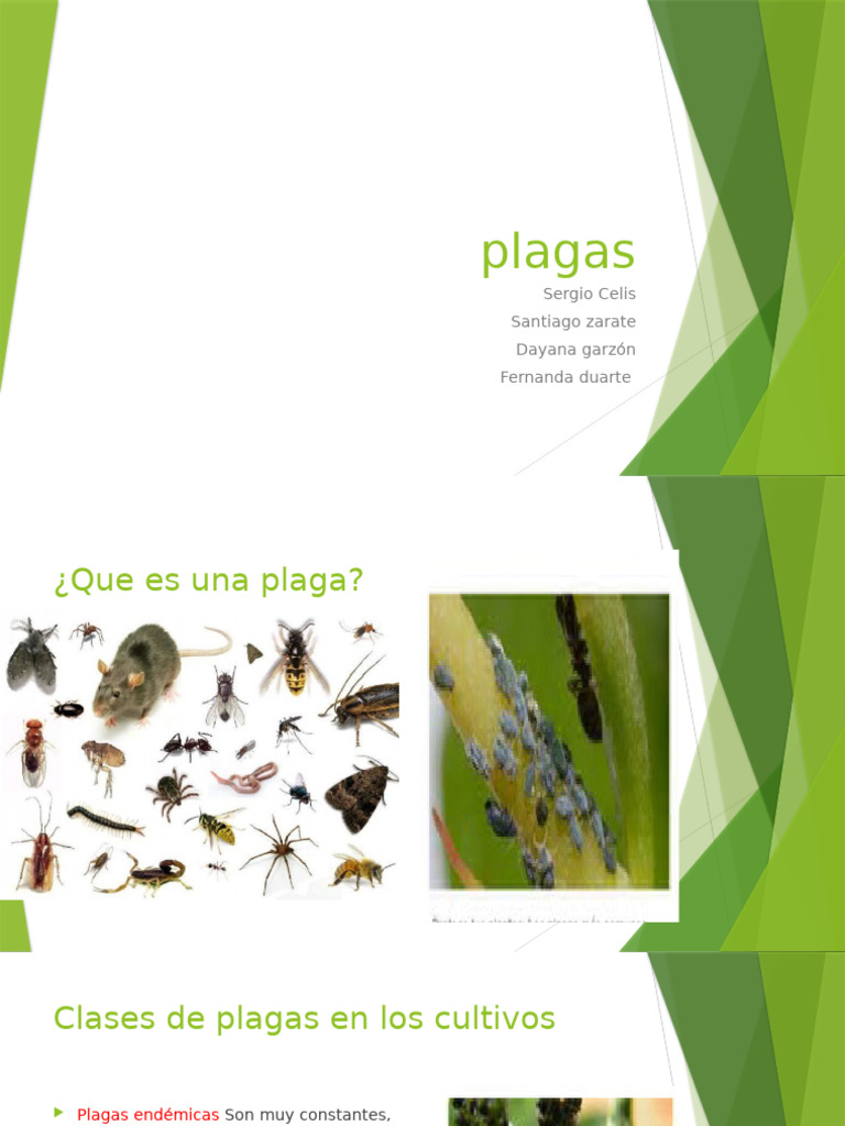 Plagas | PDF | Plaga (organismo) | Agricultura