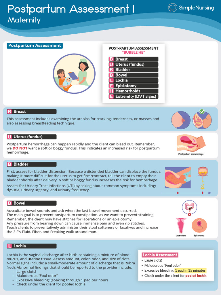 Postpartum Assessment Guide: BUBBLE HE | PDF | Postpartum Period | Uterus