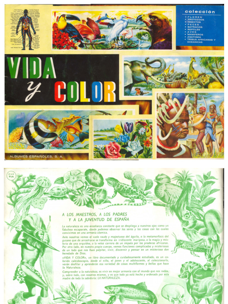 Álbum Español Vida y Color | PDF