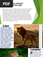 Adaptations of A Black Panther | PDF | Leopard | Cougar