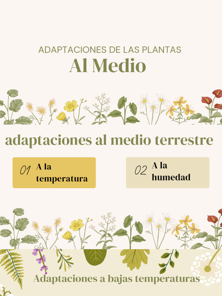 Adaptacionesde Las Plantas Al Medio PDF | PDF