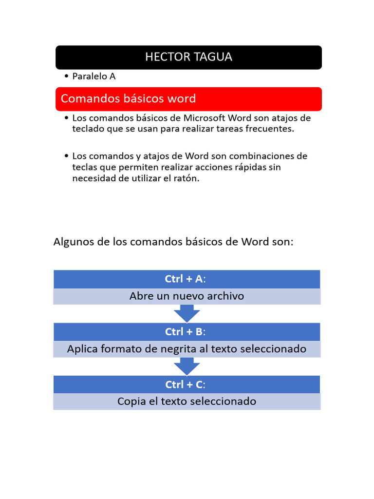Comandos Básicos de Word | PDF