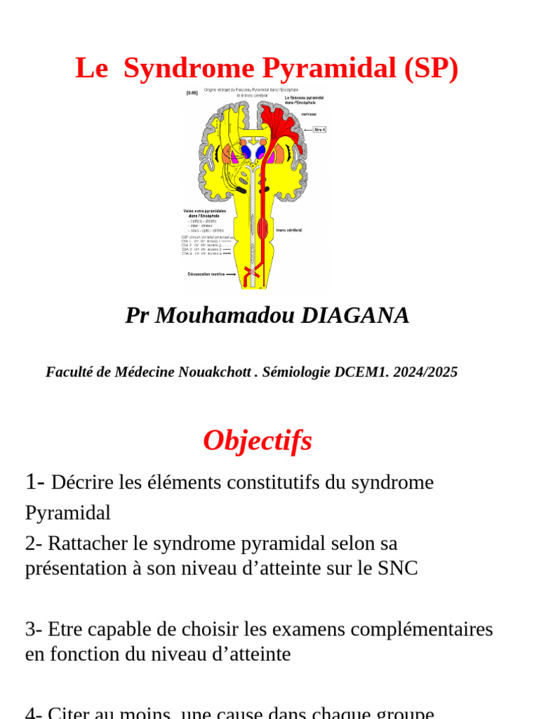 2 Le Syndrome Pyramidal (SP) | PDF | Pied | Cervelet