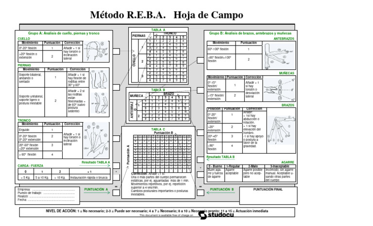 REBA Hoja de Campo (Completa) | PDF | Sistema musculoesquelético