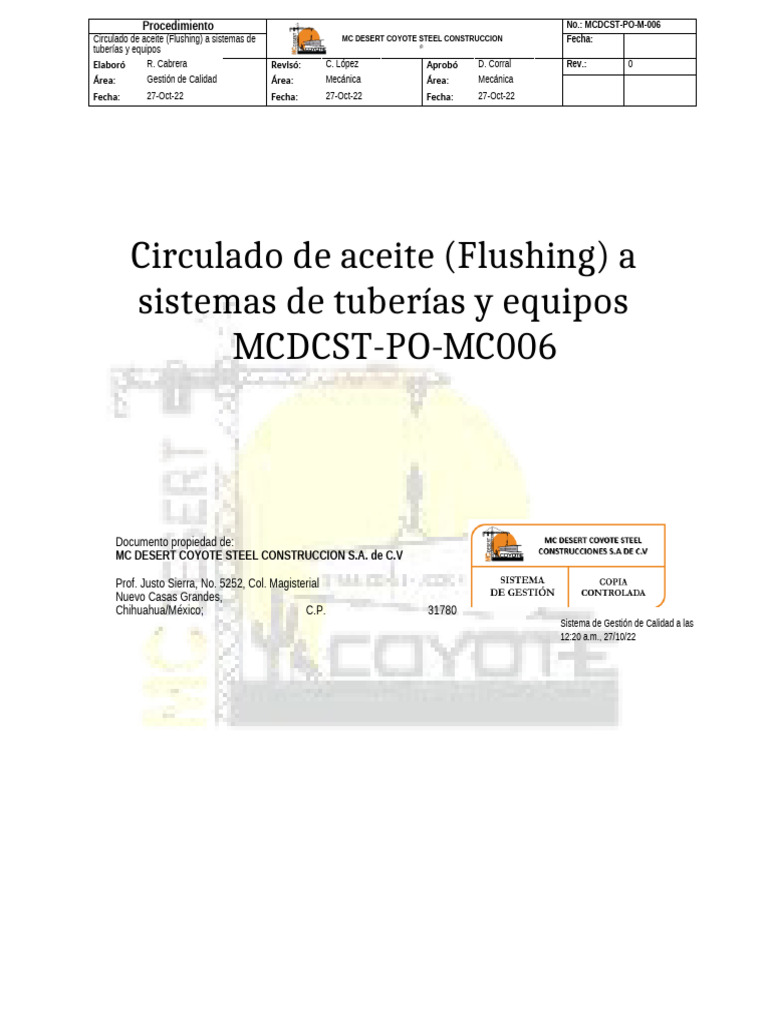 Flushing | PDF | Dinámica de fluidos | Numero Reynolds