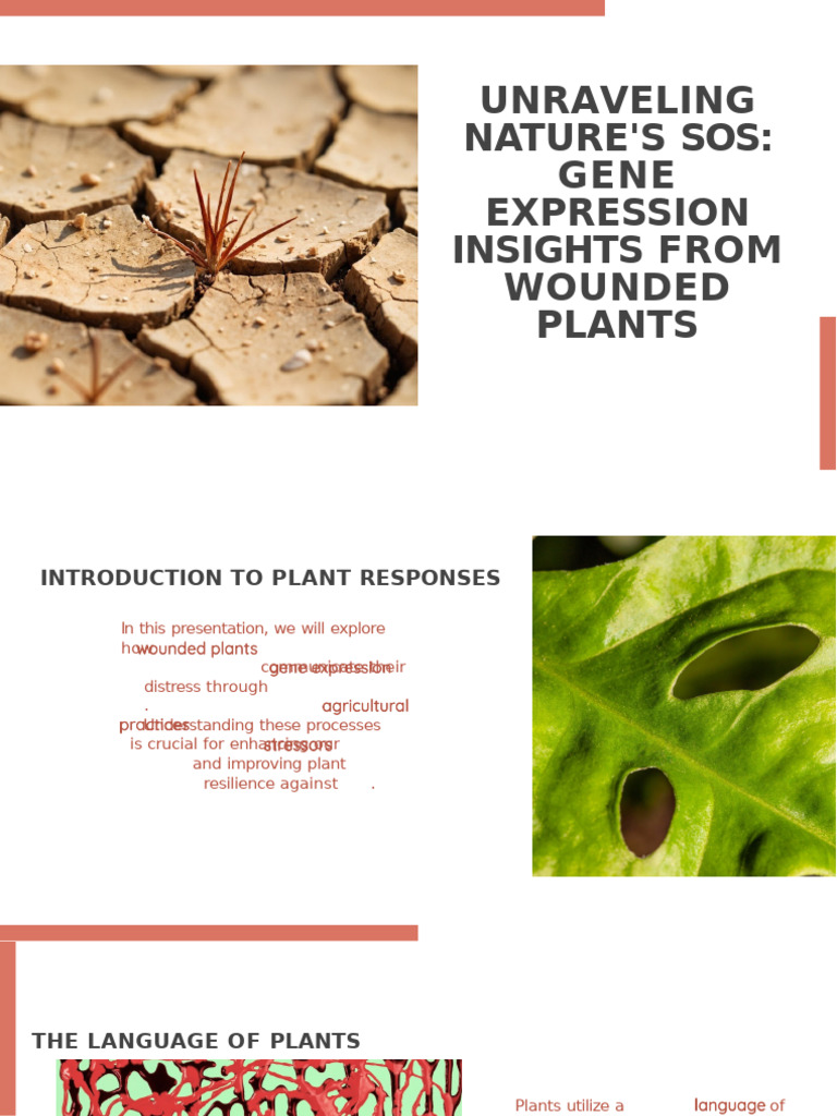 wounding in plants ppt DHANUSH | PDF | Cell Signaling | Gene Expression