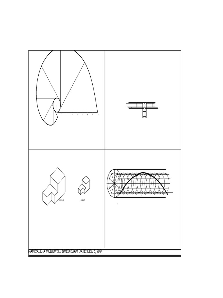 BMED Exam Details for Alicia McDowell | PDF