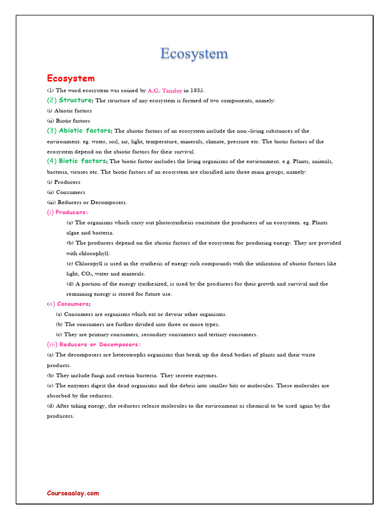 Ecosystem | PDF | Ecosystem | Food Web