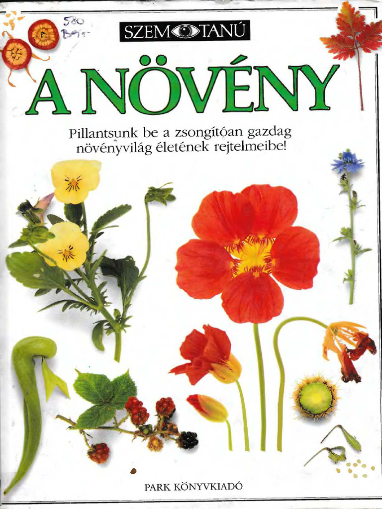 A Növény (David Burnie) | PDF