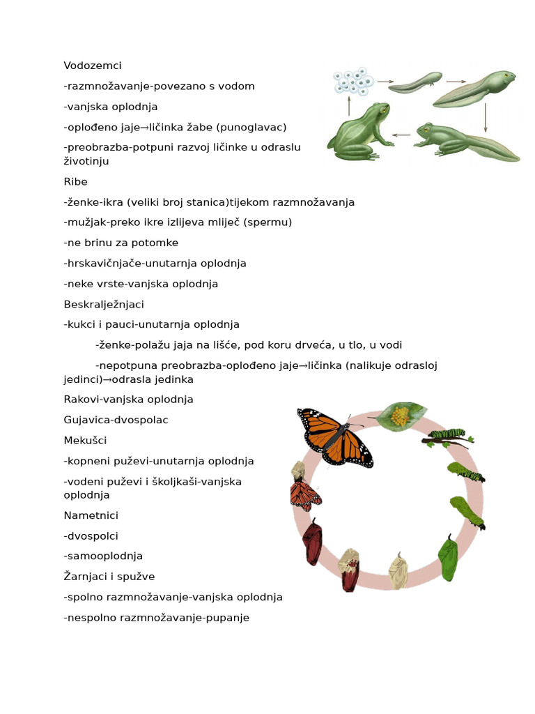 Vodozemci | PDF