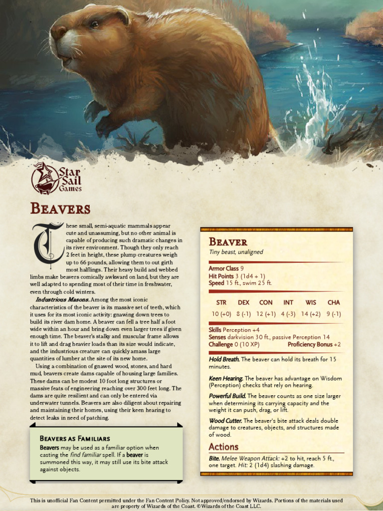 Beaver | PDF | Beaver