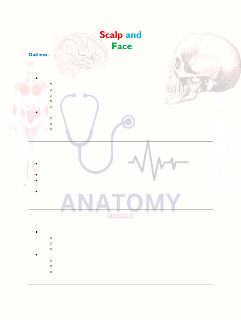 0 Head & Neck Outlines @ig222d | PDF | Common Carotid Artery | Neck