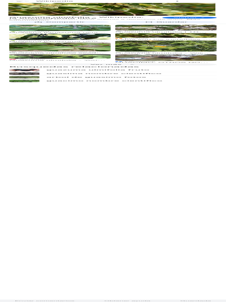 Guazuma Ulmifolia - Buscar Con Google | PDF