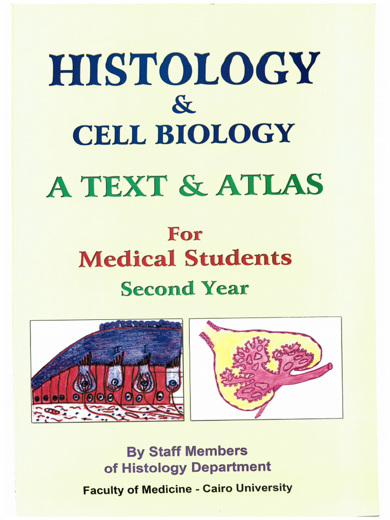 Histo 2nd year_GIT 206 | PDF