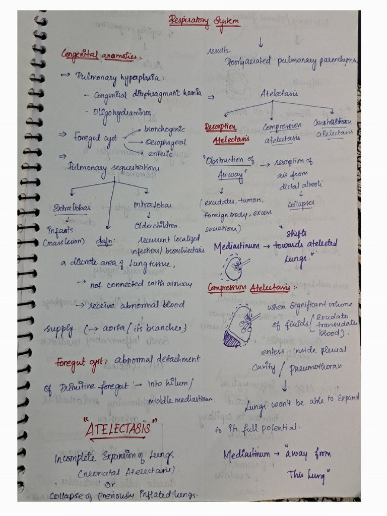 Atelectasis | PDF