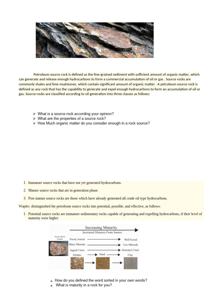 Understanding Petroleum Source Rocks | PDF