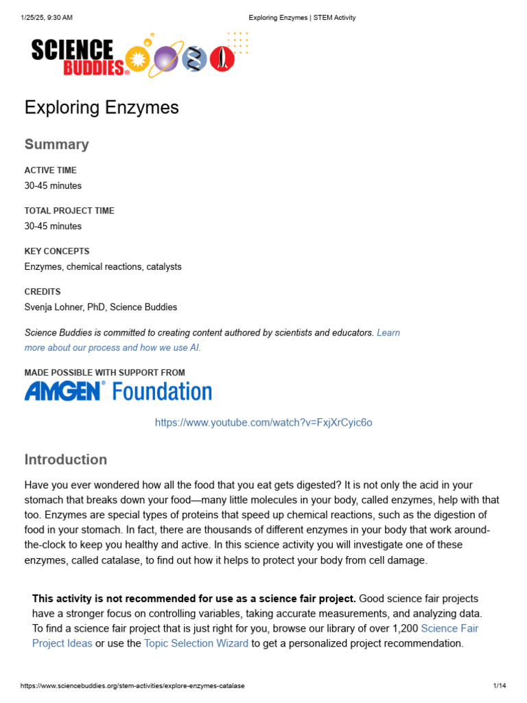 Exploring Enzymes - STEM Activity | PDF | Activation Energy | Catalase