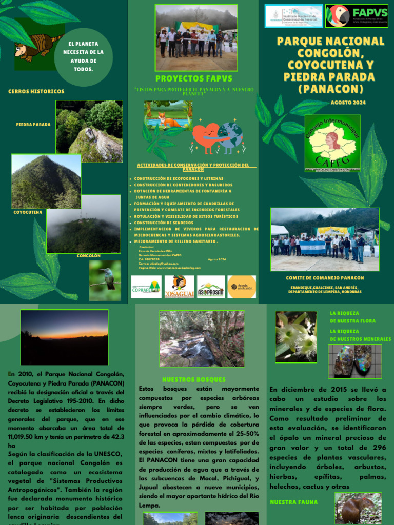Conservación y Desarrollo en PANACON | PDF | Los bosques | Ecología