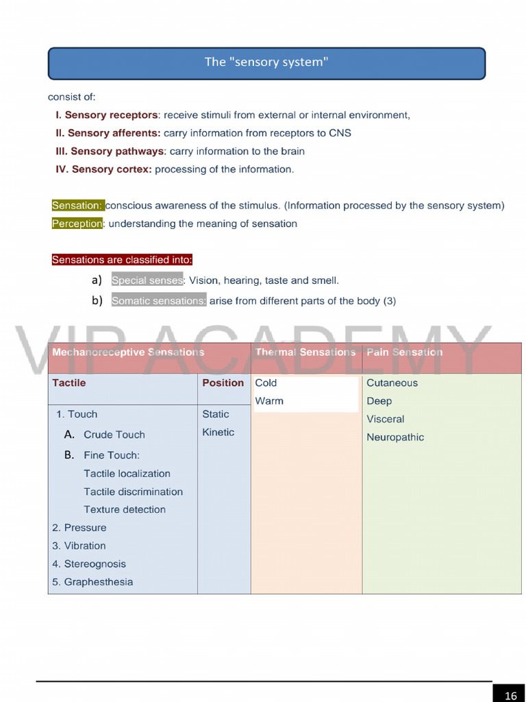 Sensory Part 1 | PDF