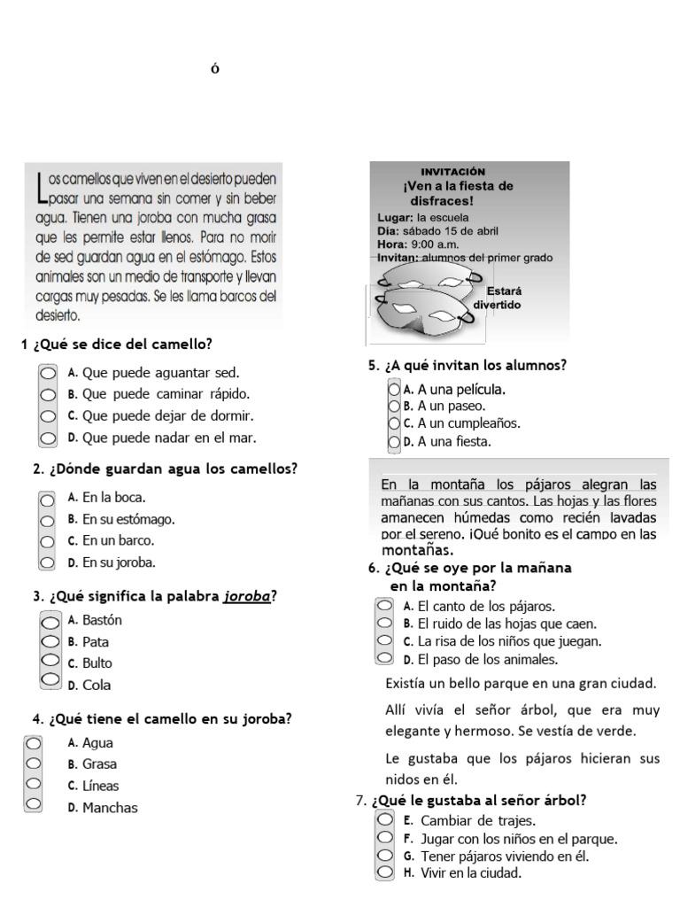 Prueba Diagnóstica 2º Español (2011) | PDF