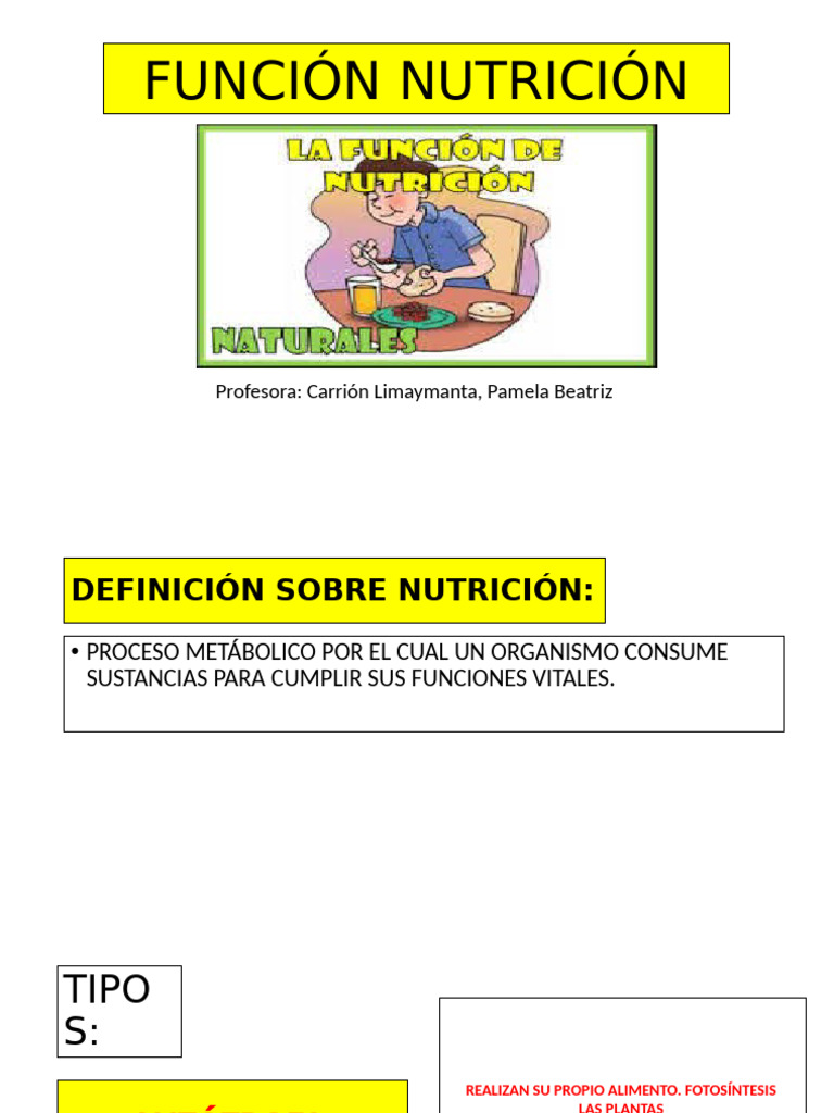 Función Nutrición | PDF