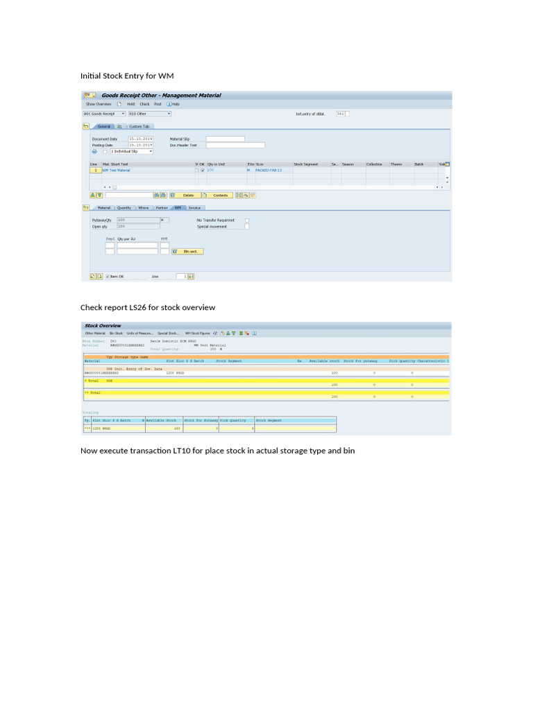 Initial Stock Entry in WM | PDF