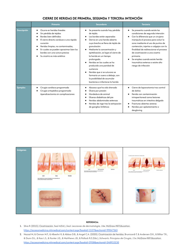Cierre de Heridas: Tipos y Ejemplos | PDF | Herida | Enfermedades y trastornos