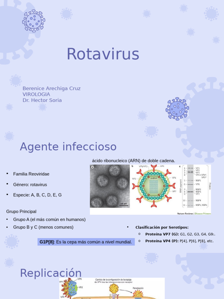 ROTAVIRUS | PDF | Diarrea | Ciencias de la Salud
