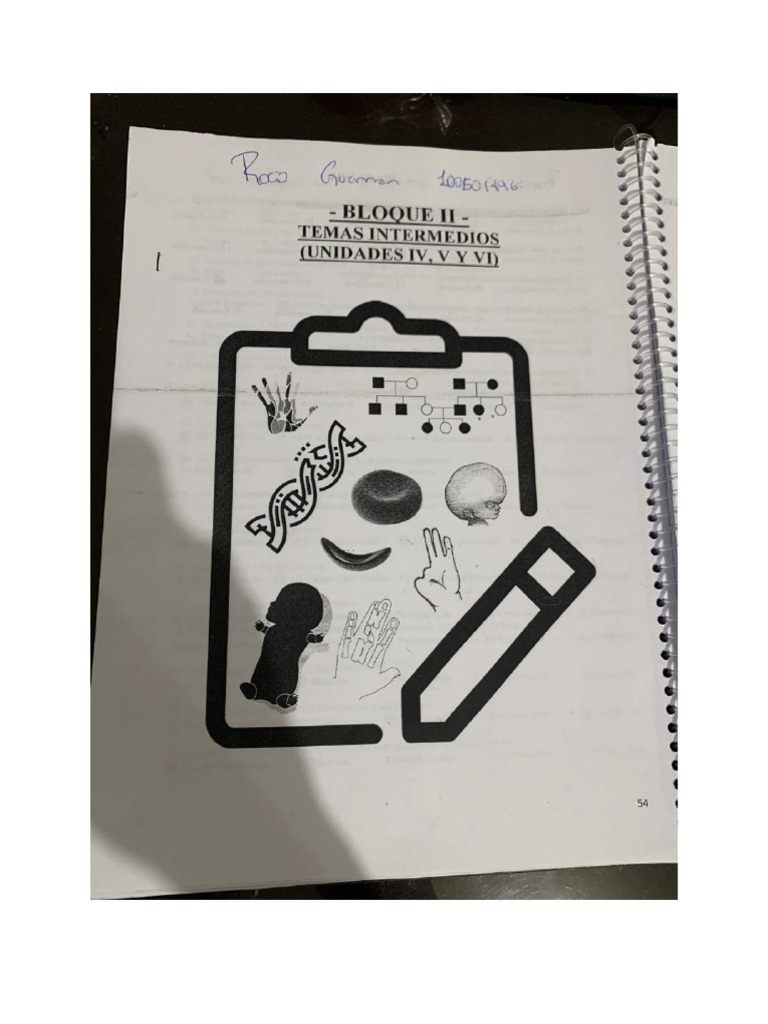 BLOQUE II - Compressed | PDF