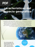 Categorías Del Espacio Geográfico | PDF | Geografía | Paisaje