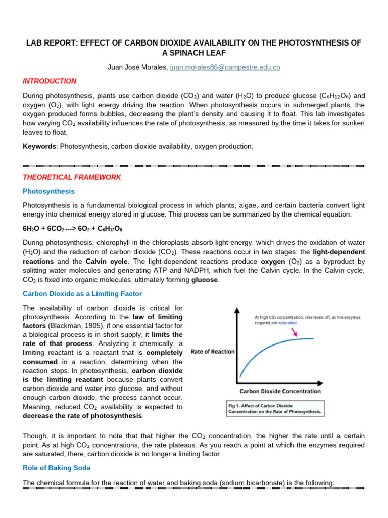 Lab Report Photosynthesis | PDF | Photosynthesis | Carbon Dioxide