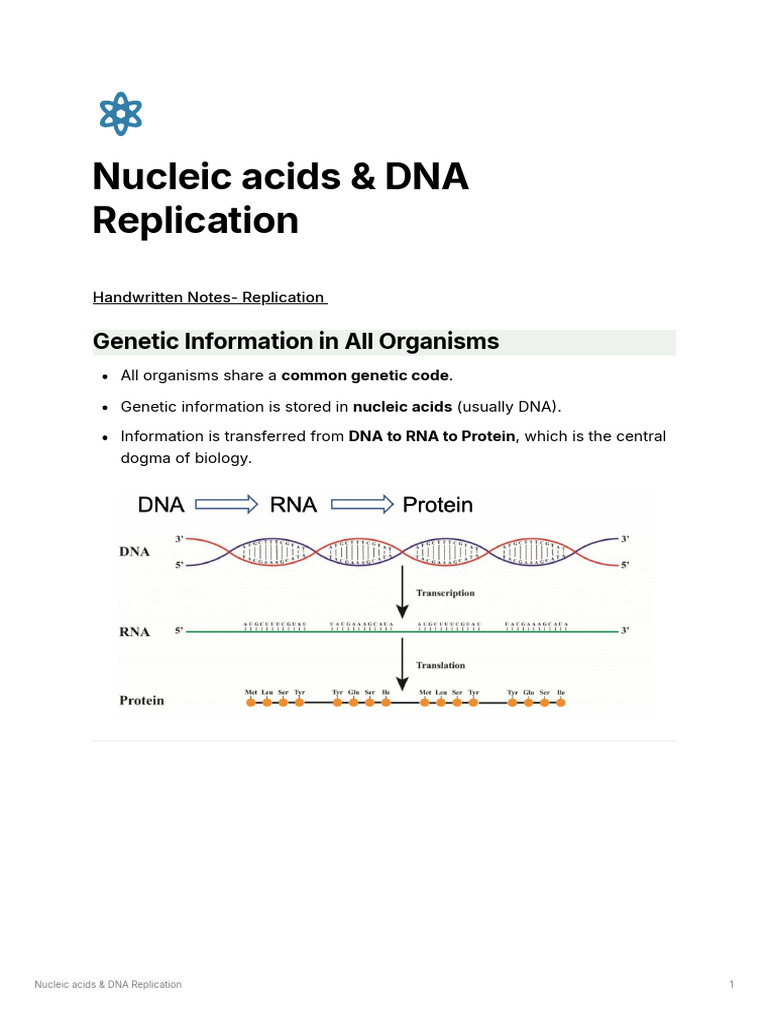 Nucleic Acids DNA Replication | PDF | Dna | Rna