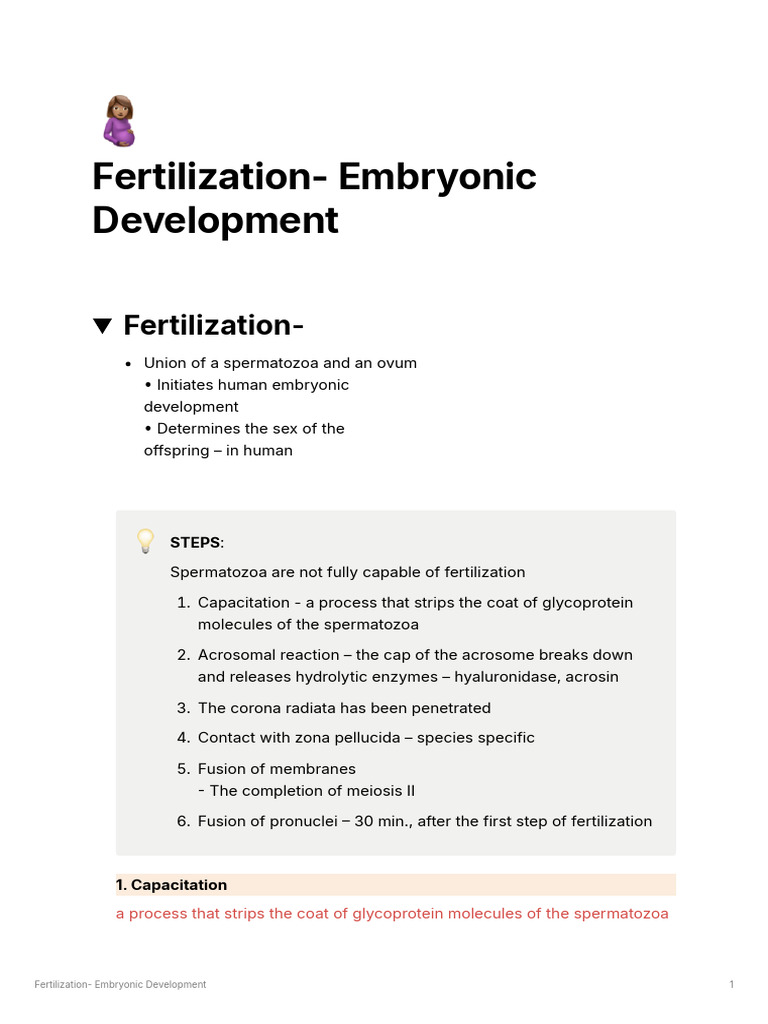Steps of Human Fertilization | PDF | Fertilisation | Developmental Biology