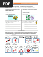 Amoeba Sisters Osmosis Recap Guide | PDF | Osmosis | Cell Biology