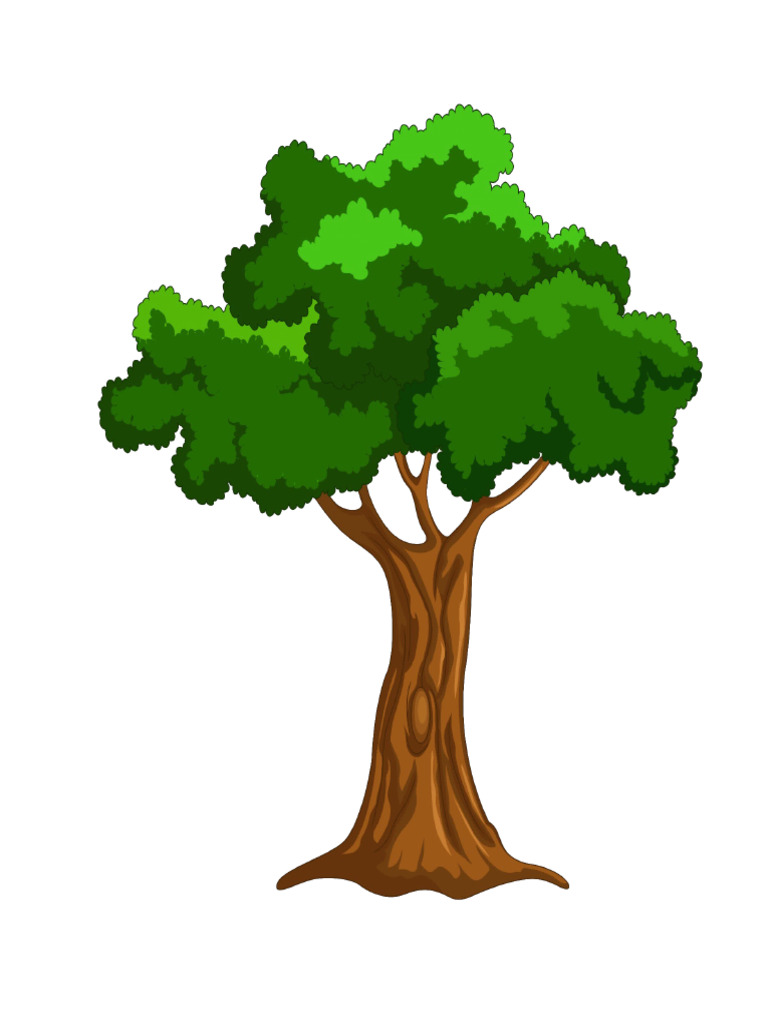 Tree | PDF