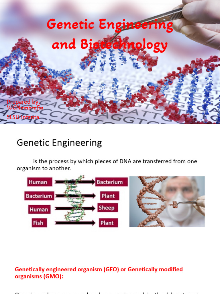 AGR31Less 14 Genetic Engineering and Biotechnology | PDF | Genetic Engineering | Plasmid