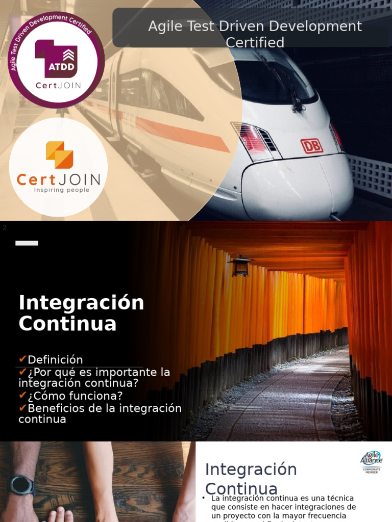 Módulo | PDF | Desarrollo guiado por pruebas | Software