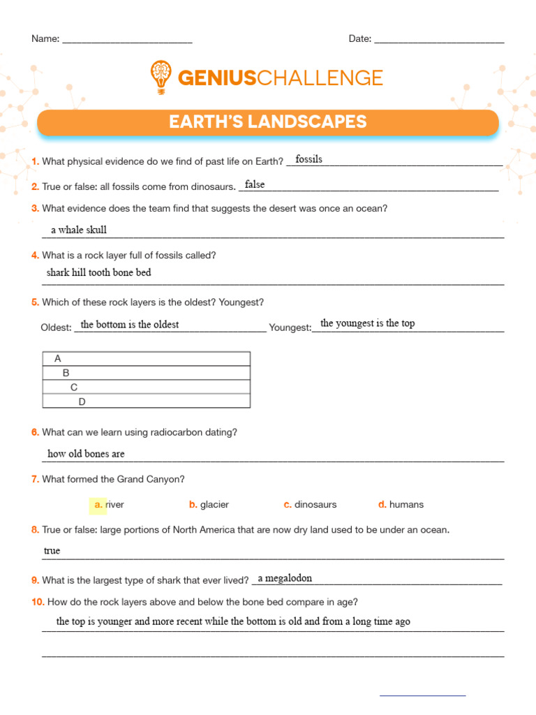Rock Layers and Fossils Worksheet GG | PDF | Fossil | Paleontology