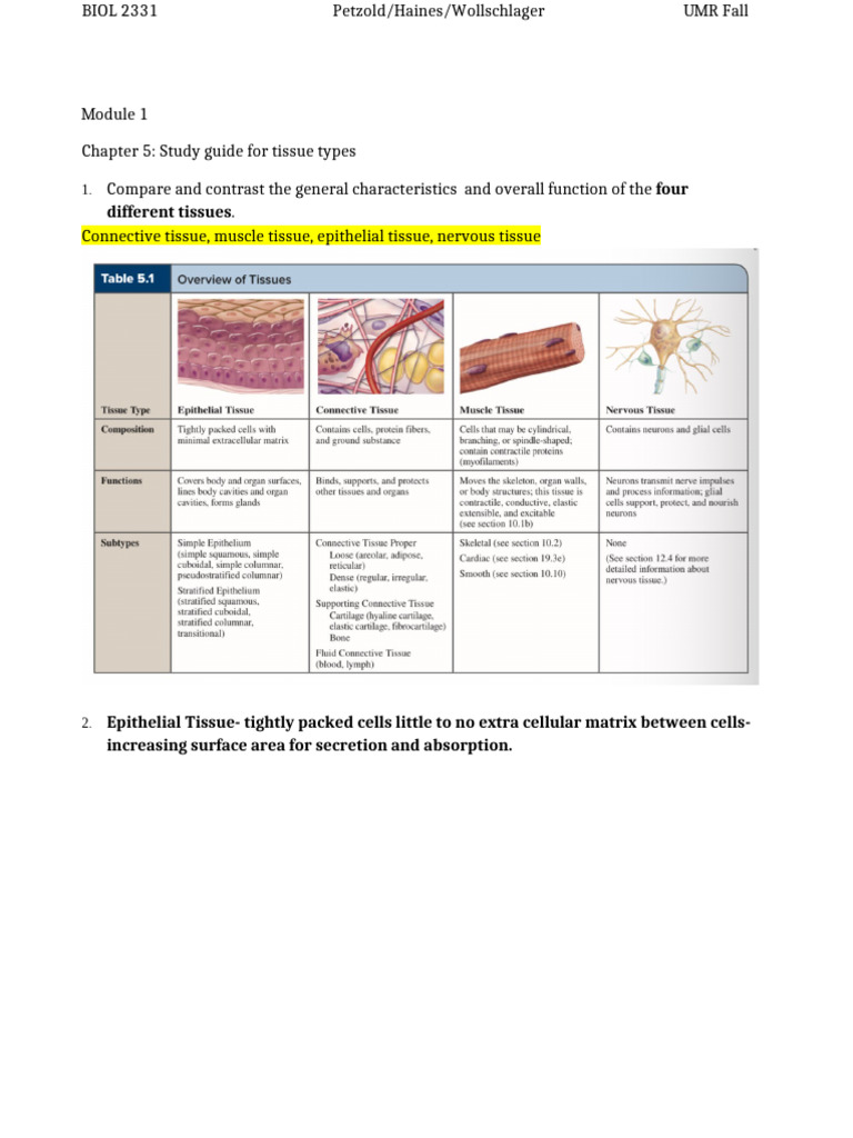 Tissue Types Study Guide BIOL 2331 | PDF | Epithelium | Tissue (Biology)