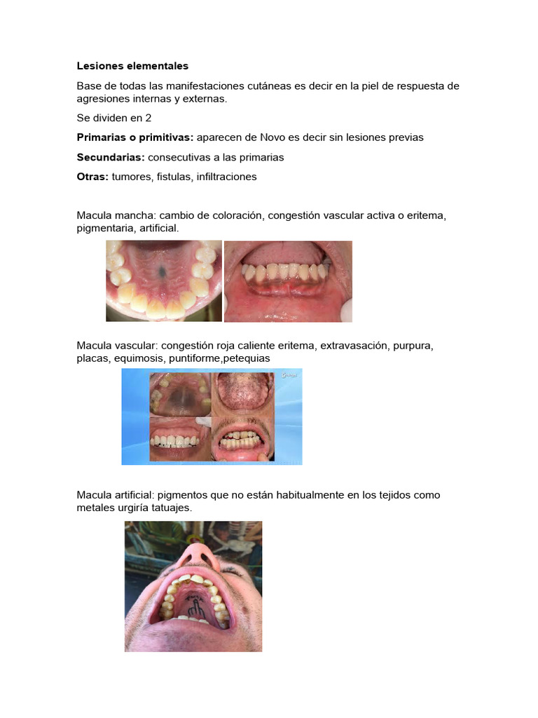Lesiones Elementales | PDF | Piel | Epidermis
